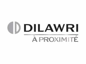 Le groupe Dilawri présente Dilawri Anywhere 2.0 - Affaires automobiles